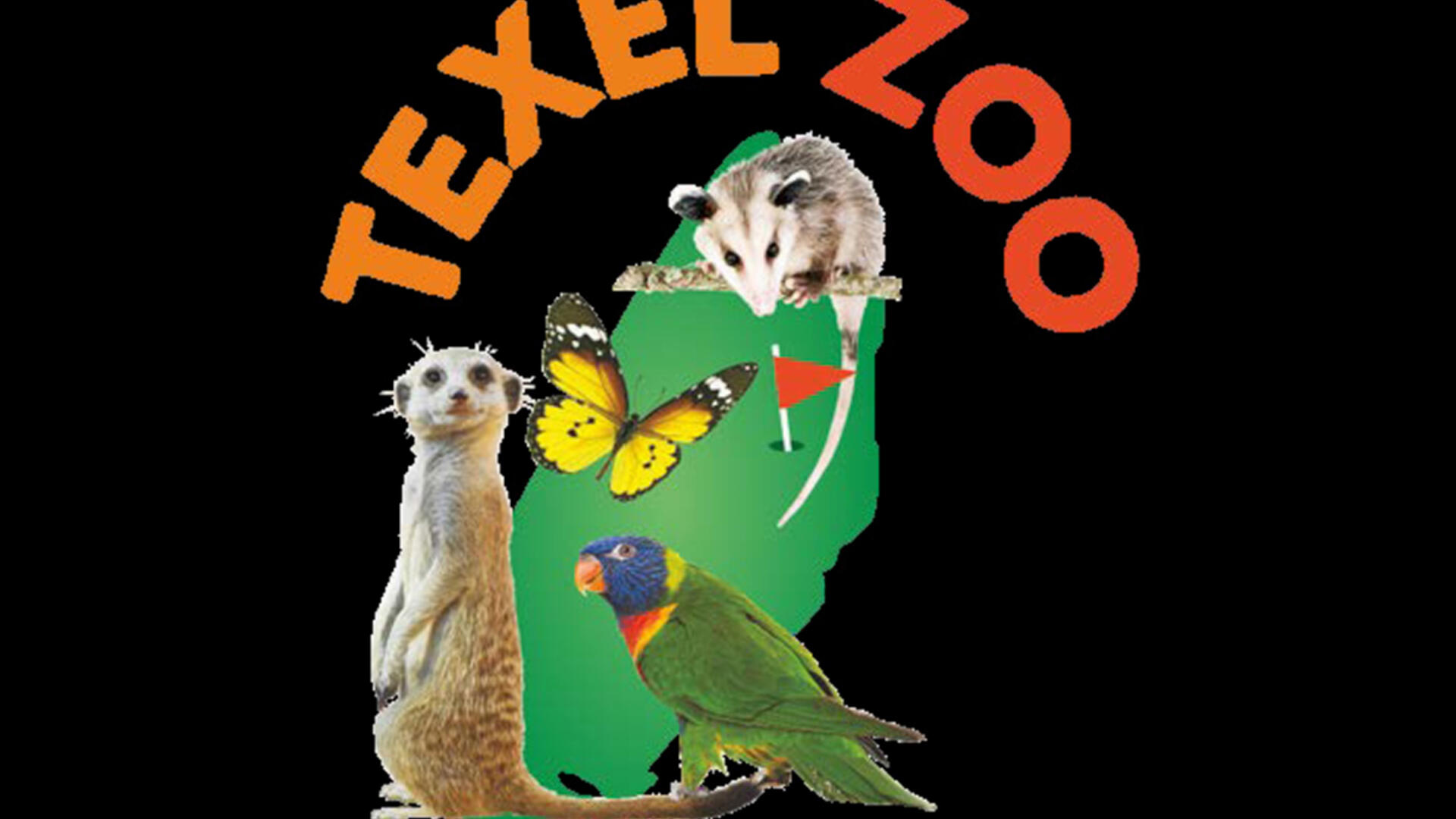 Texel Zoo kan niet | GroenLinks Texel
